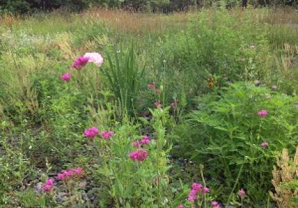 Salt Point | Town of Lansing New York