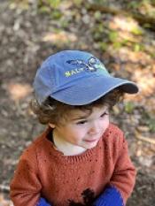 Salt Point | Town of Lansing New York