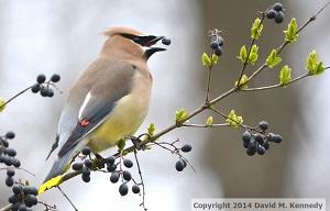 Salt Point | Town of Lansing New York